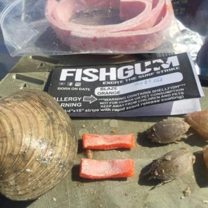 Fish Gum – Pompano Rich