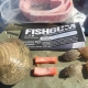 Fish Gum – Pompano Rich